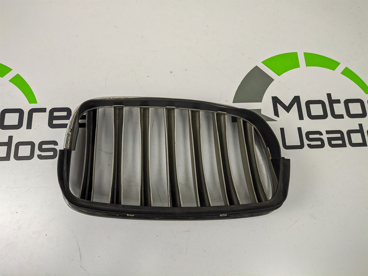 Grelha Esquerda BMW X5 Usada Original E70 51137171395 – Motores Usados
