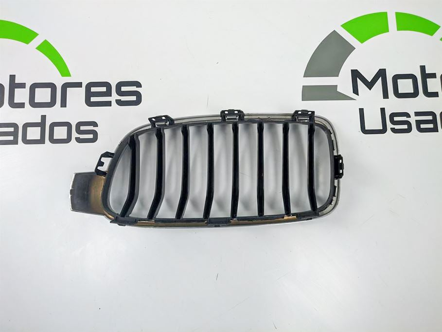 Grelha BMW Serie 3 Usada Original F30, F80 51137255412 – Motores Usados